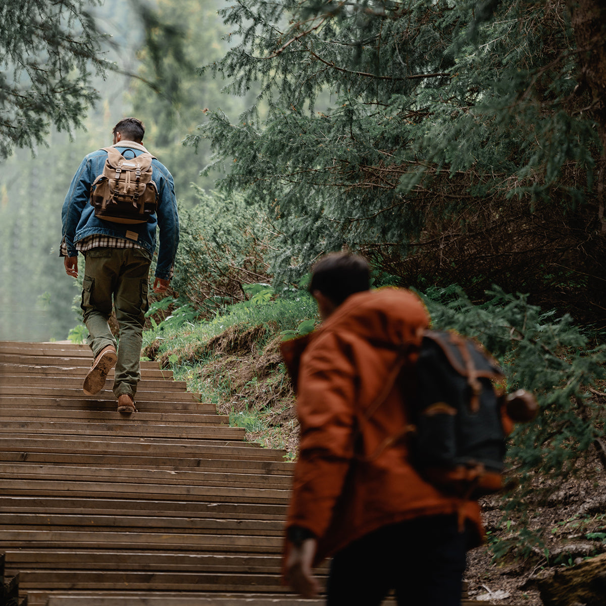 New Arrivals – SIMWOOD